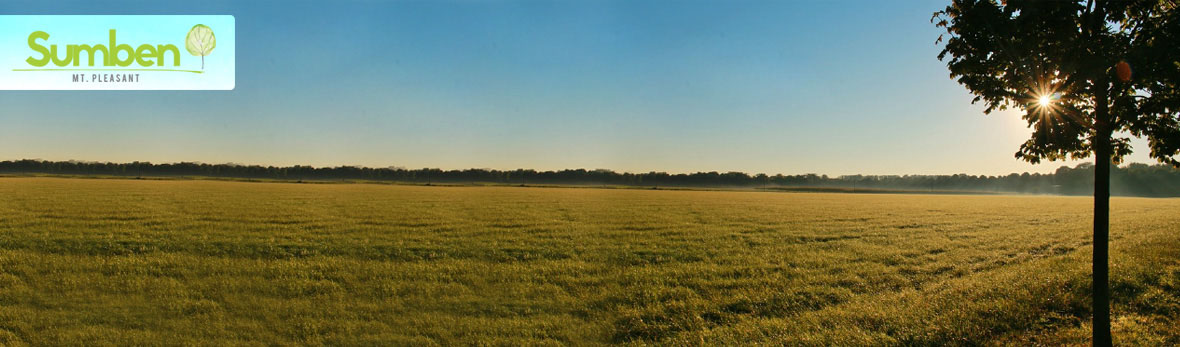 Infrastructure Development Bank of Zimbabwe (IDBZ)